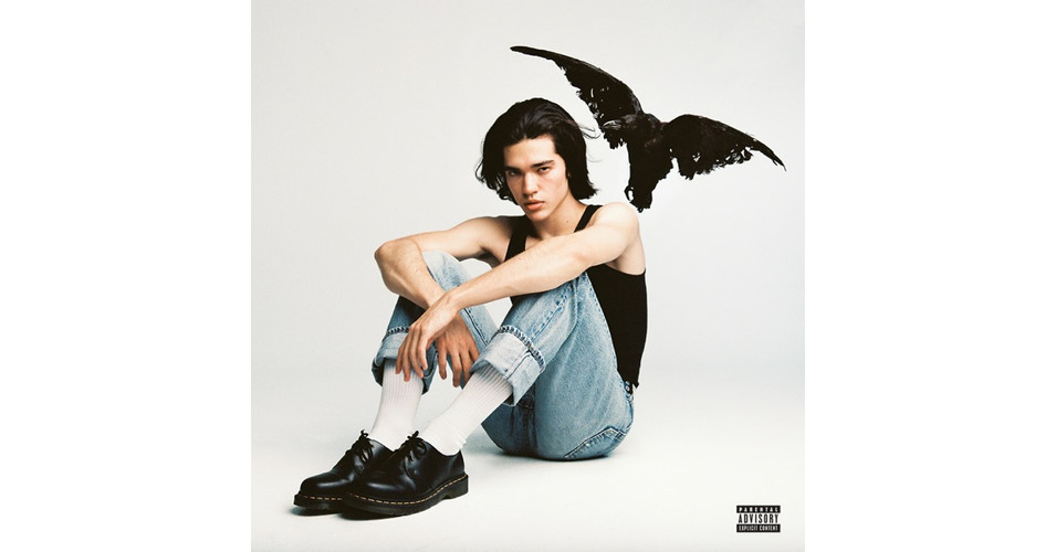 CONAN GRAY - KID KROW (1LP). Vinyl (LP). Kiadó: BERTUS. LEMEZED.hu