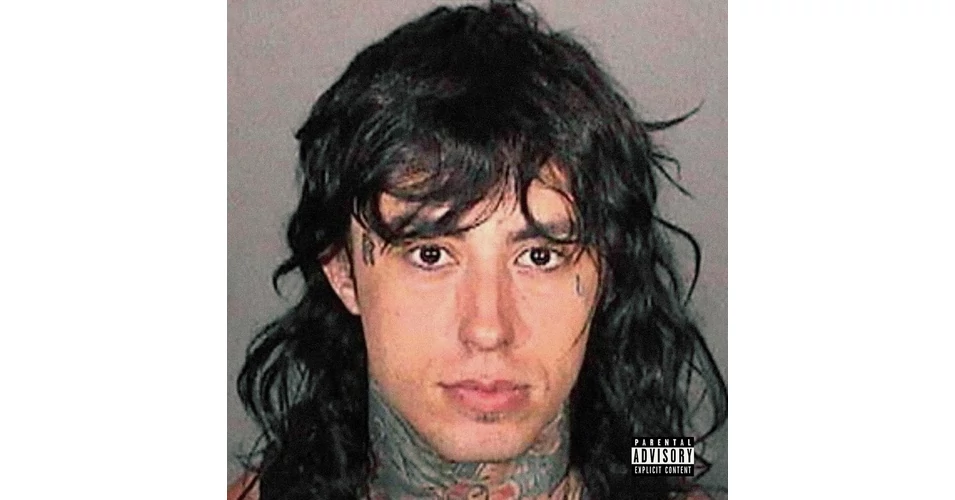 FALLING IN REVERSE - POPULAR MONSTER (1LP). Vinyl (LP). Kiadó: BERTUS ...